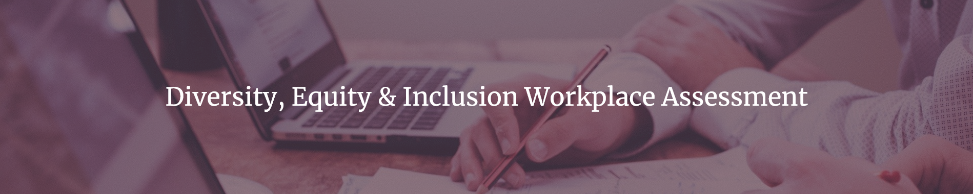 Diversity, Equity & Inclusion Workplace Assessment - Section 1