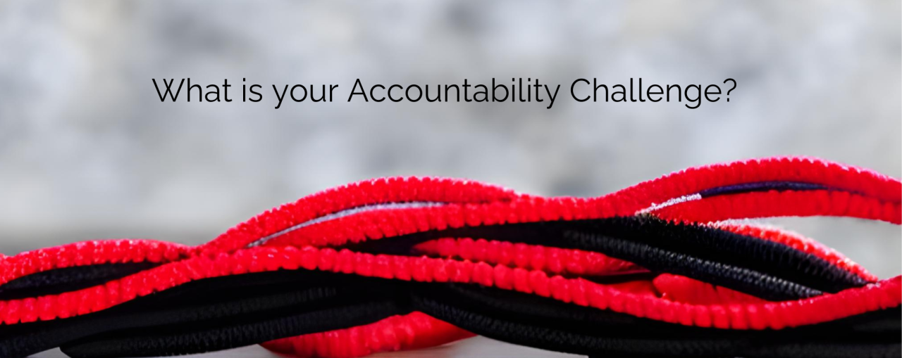 Accountability Challenge