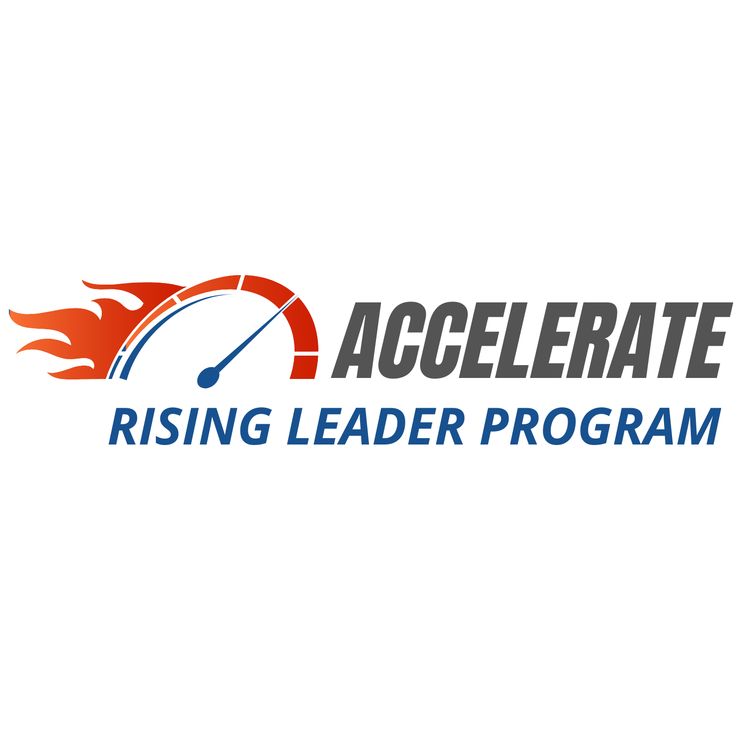 AAANE Accelerate: Capability Assessment