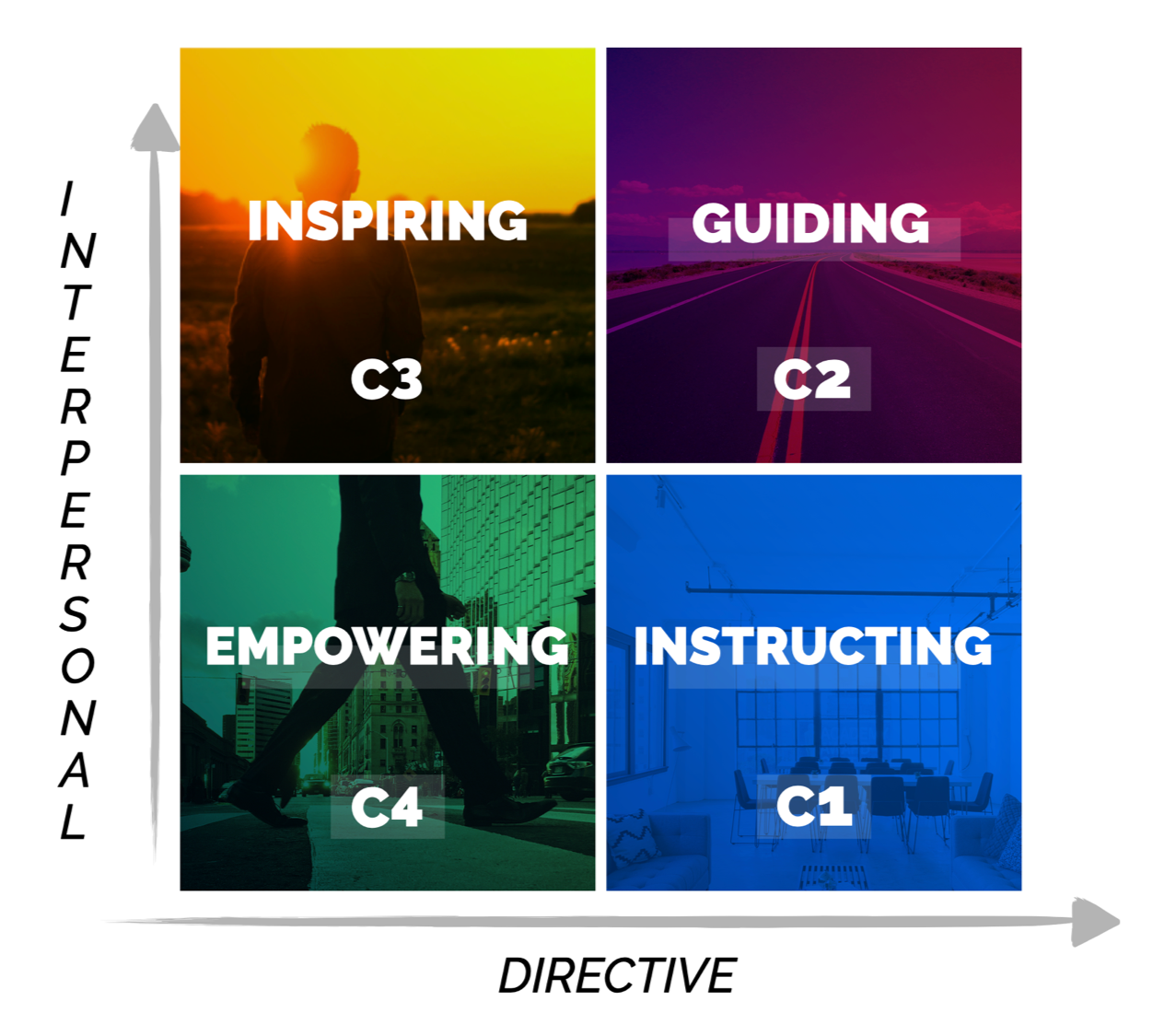 Dynamic Coaching Styles© Assessment - General